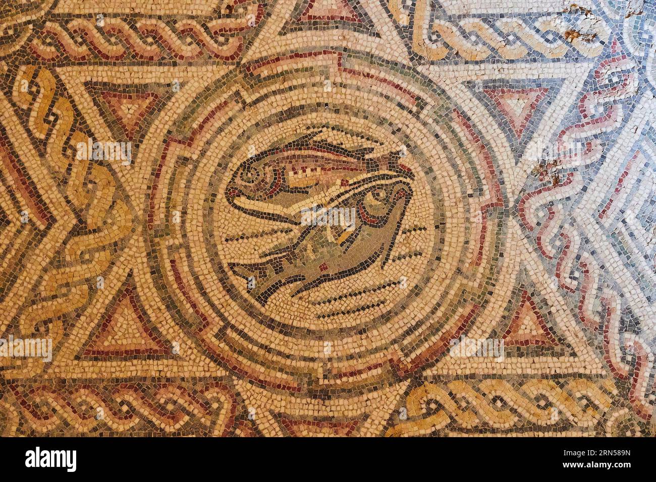 Roman fish mosaic hi-res stock photography and images - Alamy