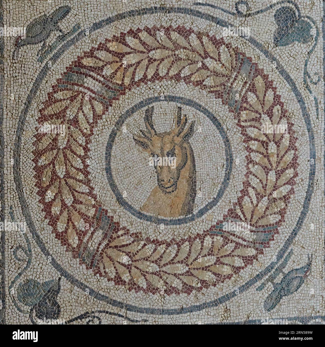 Doe, Roman Mosaics, Villa Romana del Casale, UNESCO World Heritage Site ...
