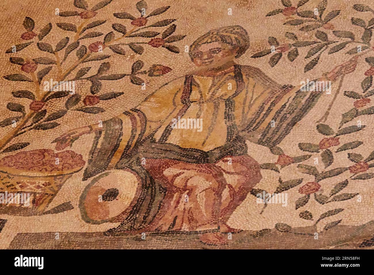 Woman picking fruit, Roman mosaics, Villa Romana del Casale, UNESCO ...