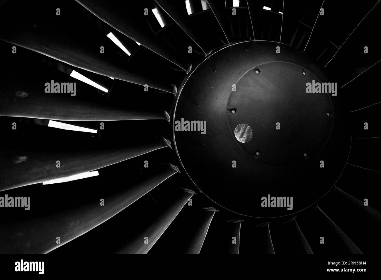 Exposure details: ISO 20000 at ¹⁄₈₀ sec at ƒ / 4.0 and exposure ...