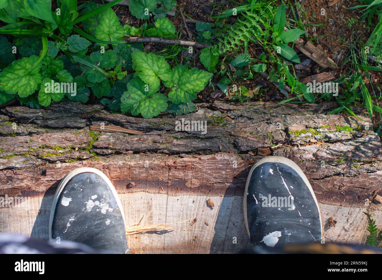 first person view, hiker looking down at his feet and the ground, copy ...