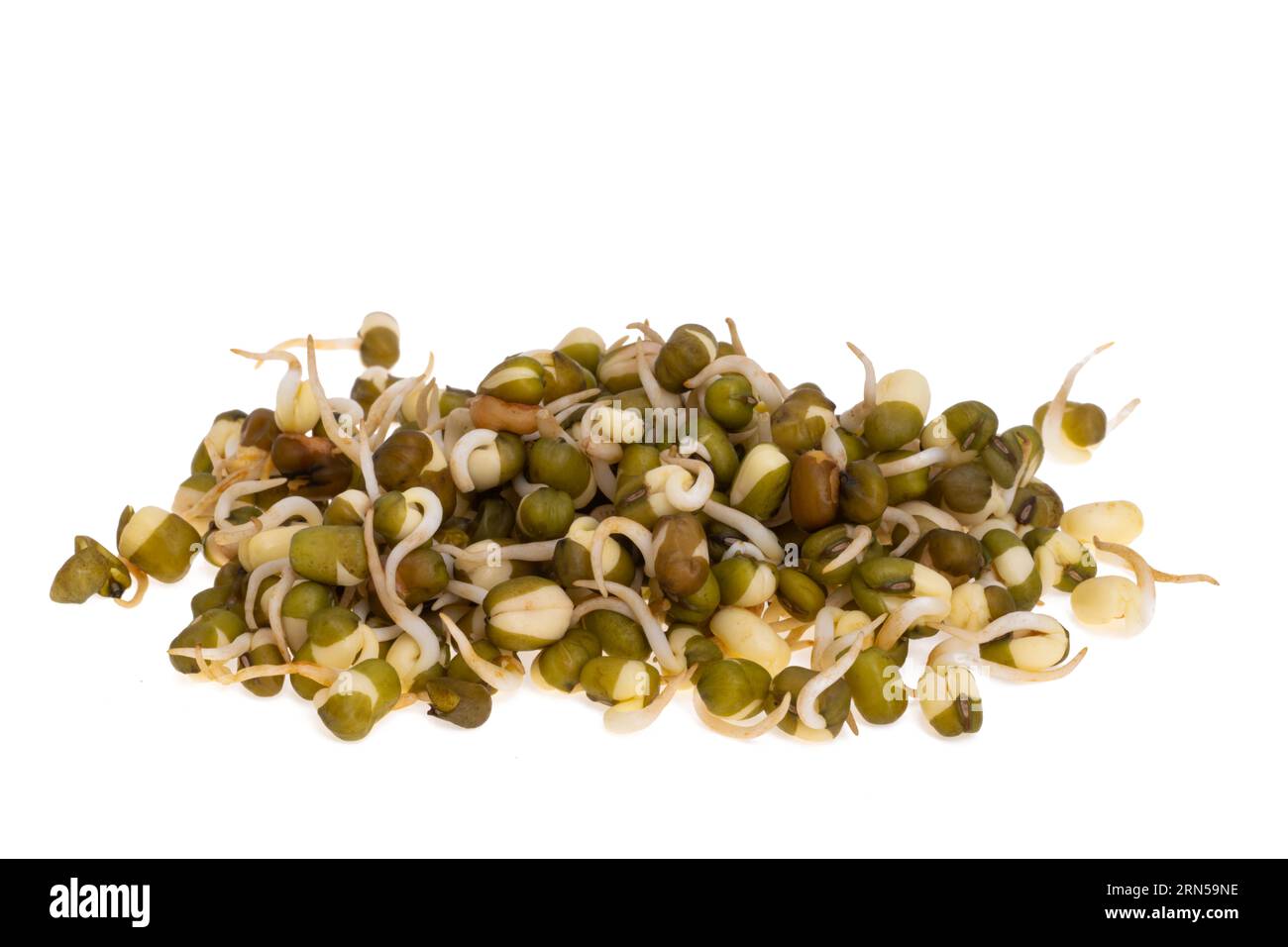 sprouted mung bean isolated on white background Stock Photo - Alamy