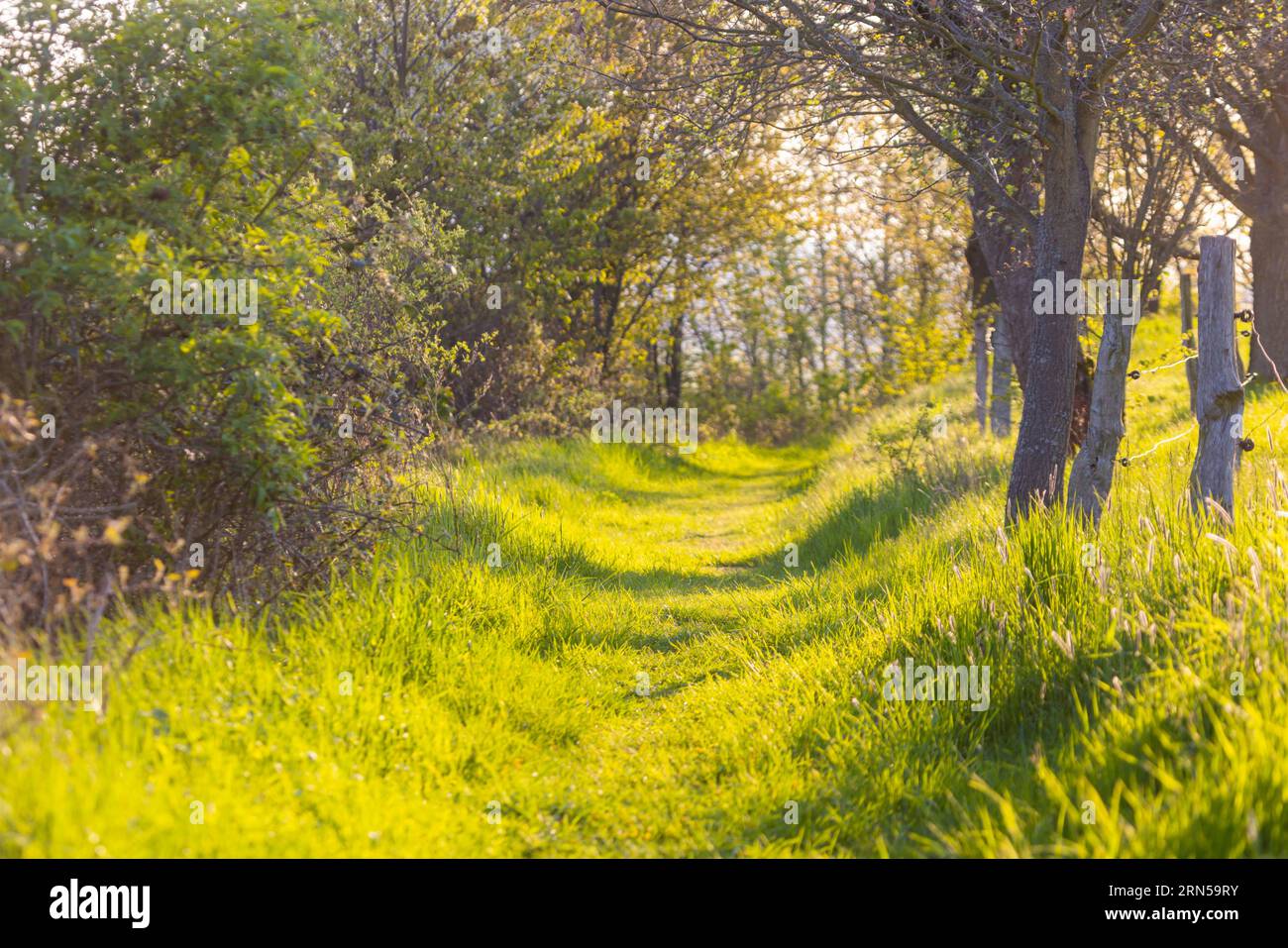 The sunken path hi-res stock photography and images - Alamy