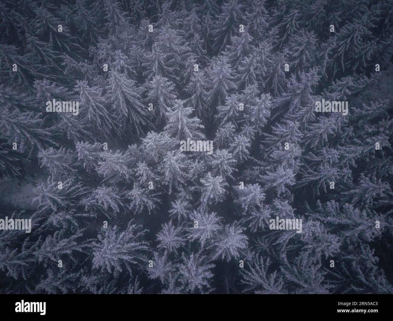 Winter in the Ore Mountains Stock Photo - Alamy