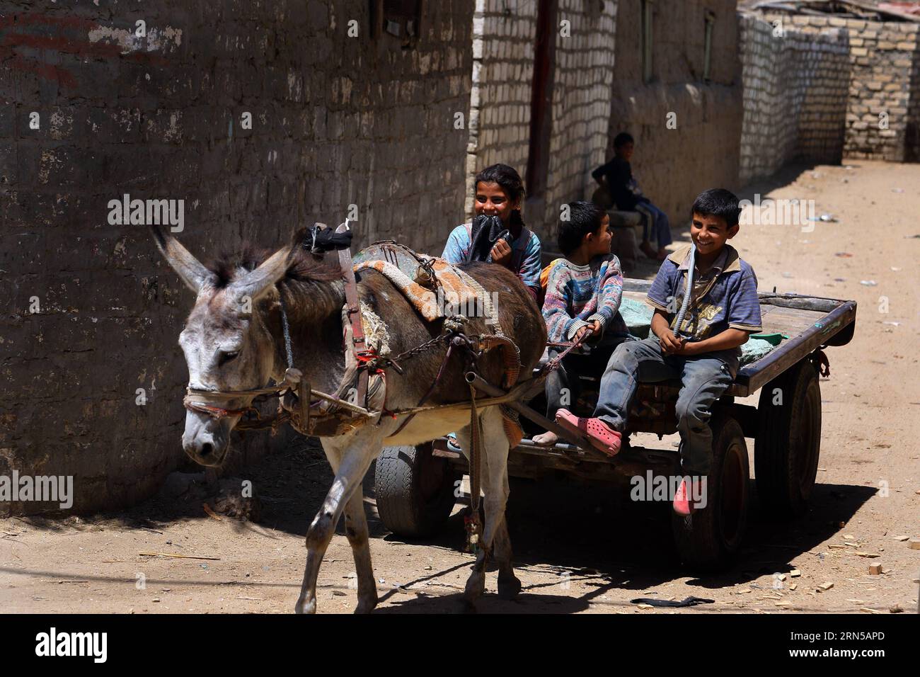 Palestinian refugees conduct a donkey cart in the village of Gazira ...