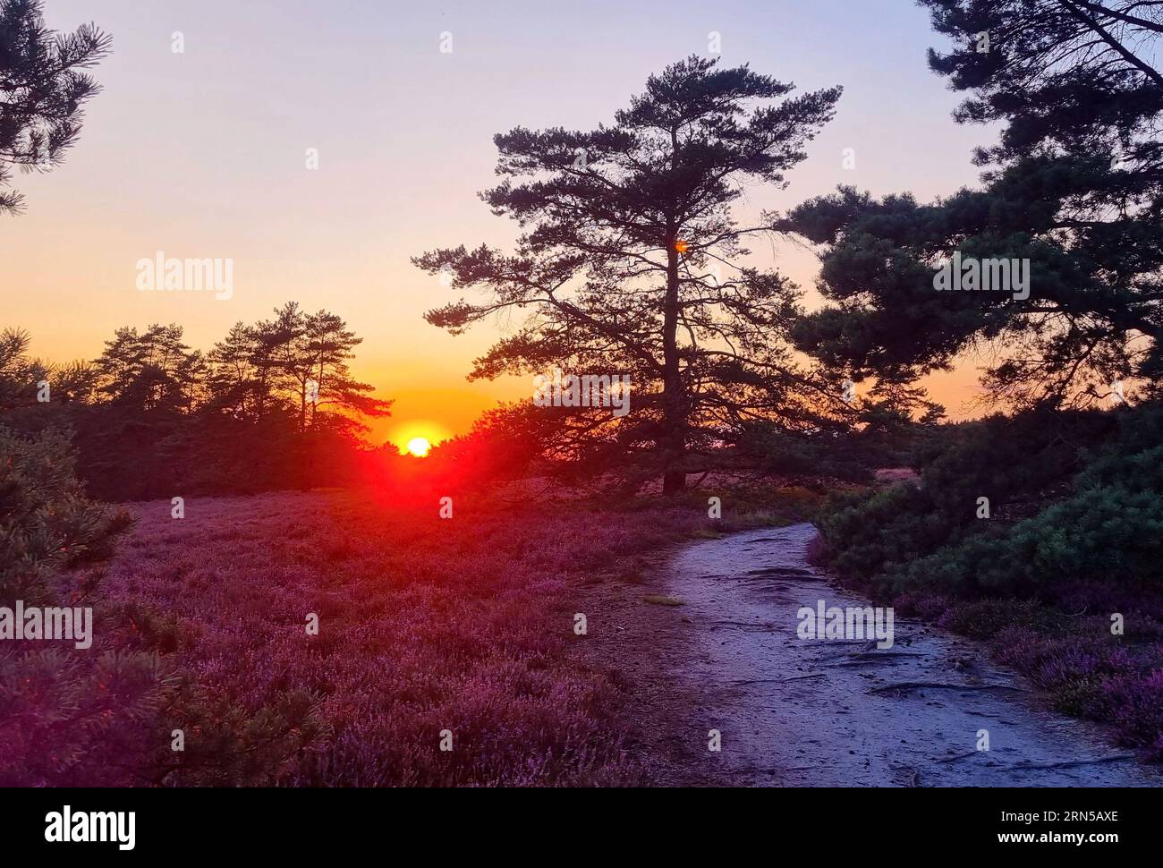 Heide landschaft hi-res stock photography and images - Alamy