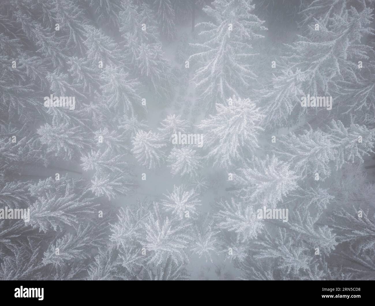 Winter in the Ore Mountains Stock Photo - Alamy