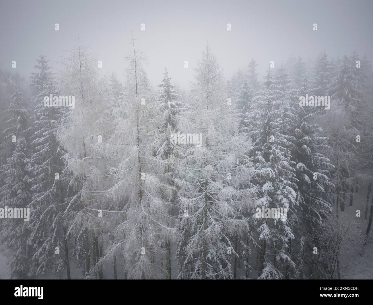 Winter in the Ore Mountains Stock Photo - Alamy