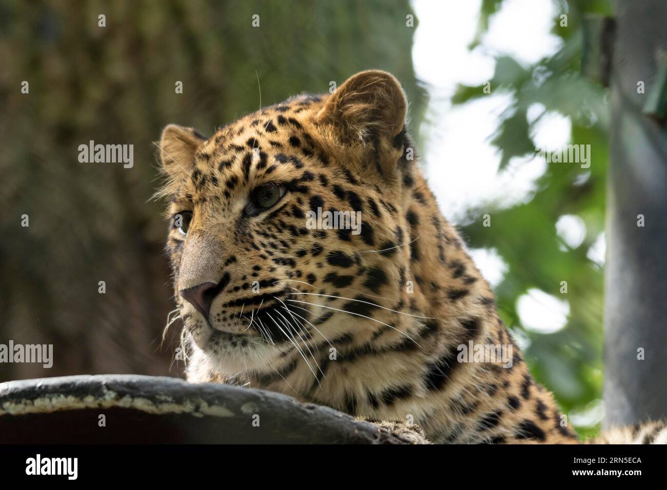 North china hi-res stock photography and images - Alamy