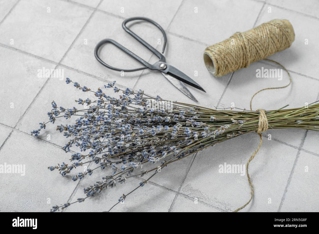 Aesthetic scissors hi-res stock photography and images - Alamy