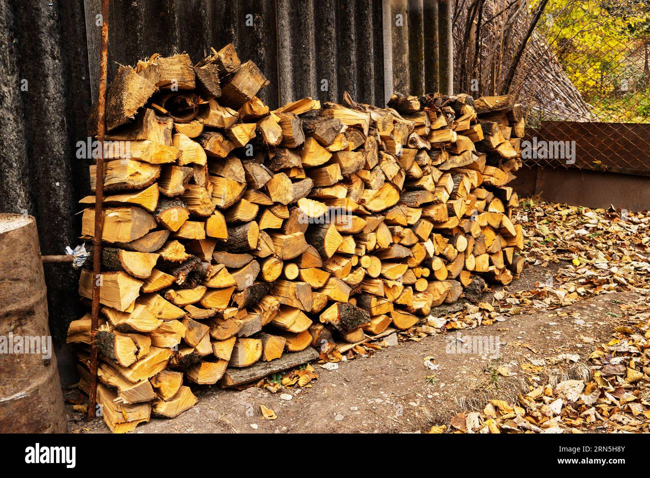 a stack of chopped firewood lies in the yard Stock Photo - Alamy
