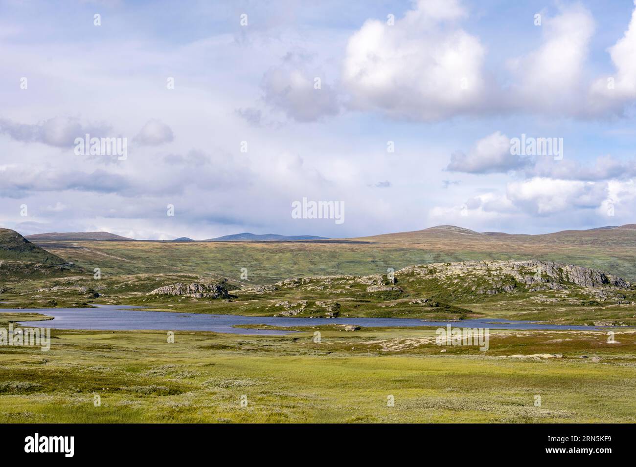 Tundra landscape with lake, Fjell, Oystre Slidre, Jotunheimen National ...
