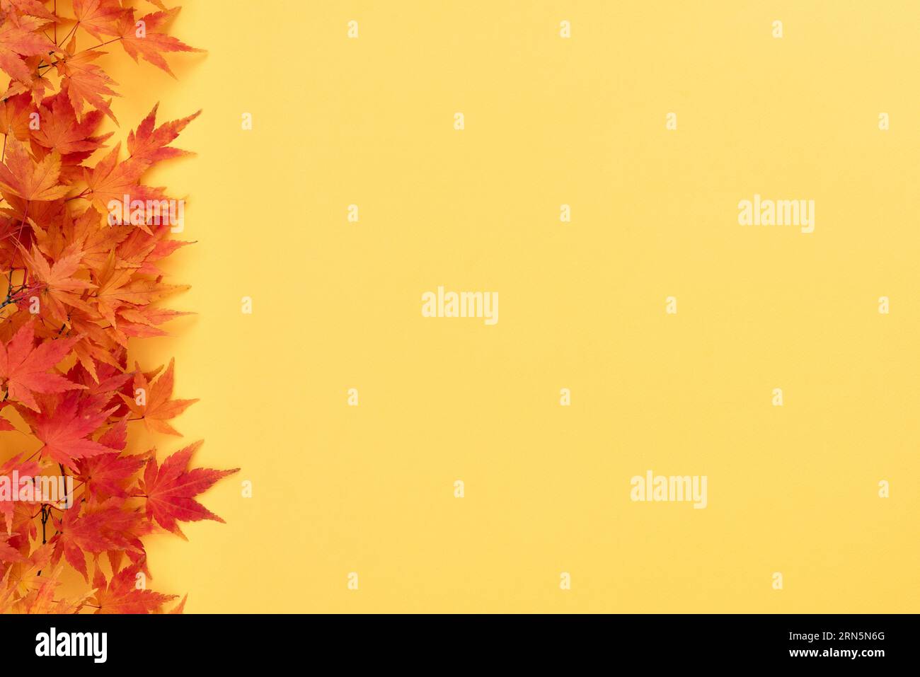 Yellow Autumn Background with Leafy Border Stock Photo - Alamy