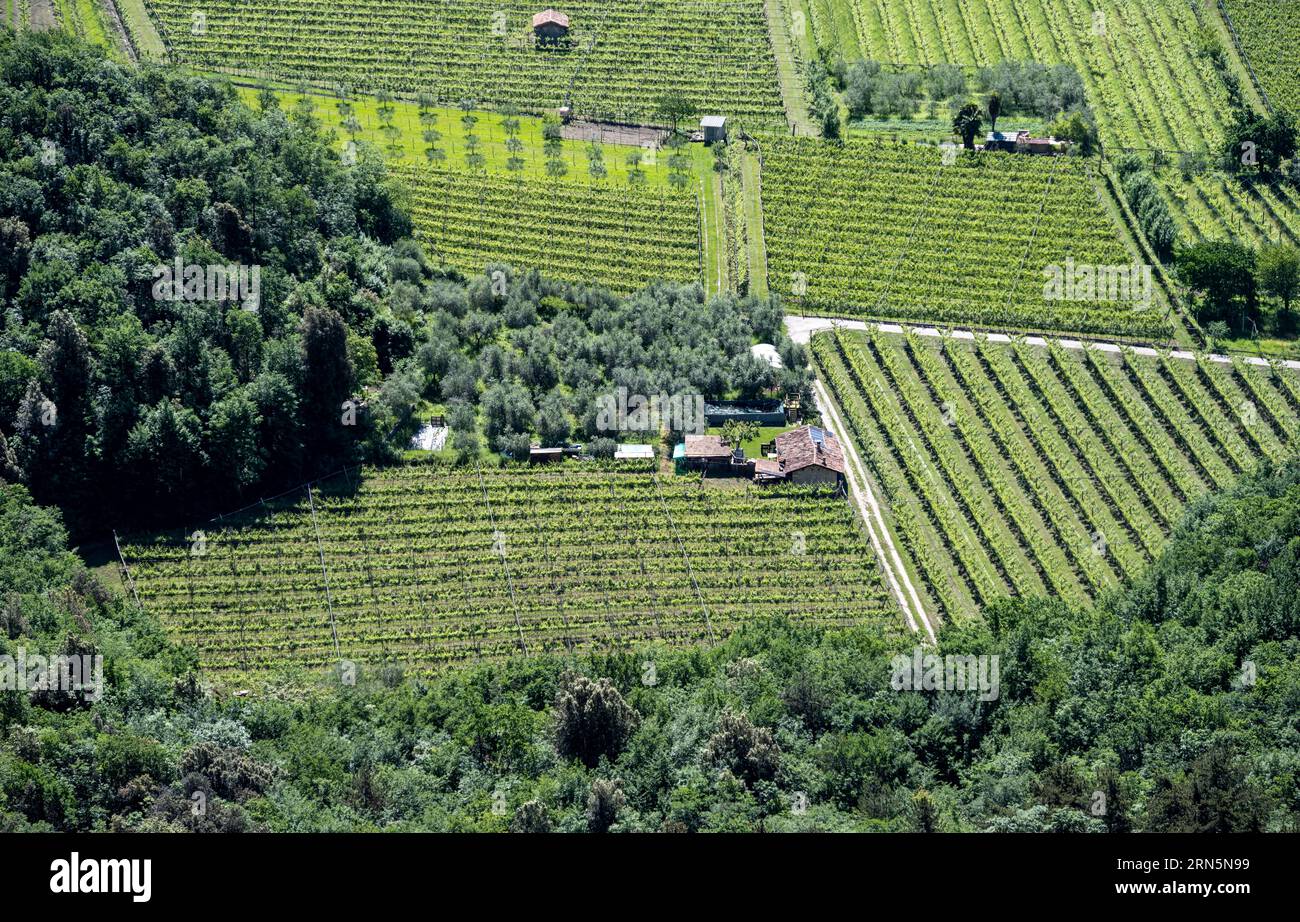 Fields and small huts from above, Sarca Valley, Garda Mountains, near ...