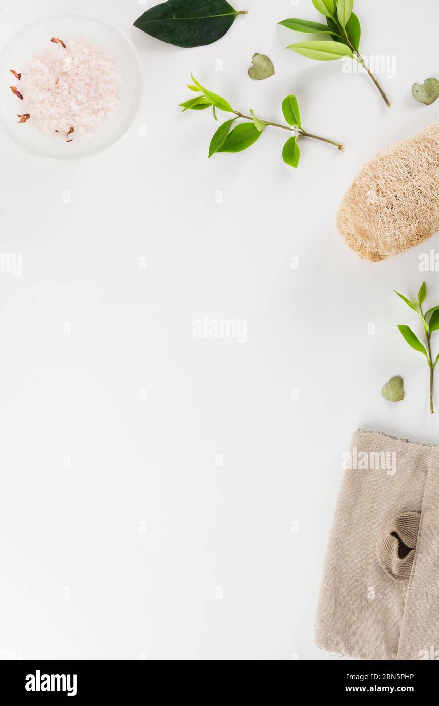 Bowl herbal salt leaves loofah isolated white background Stock Photo ...