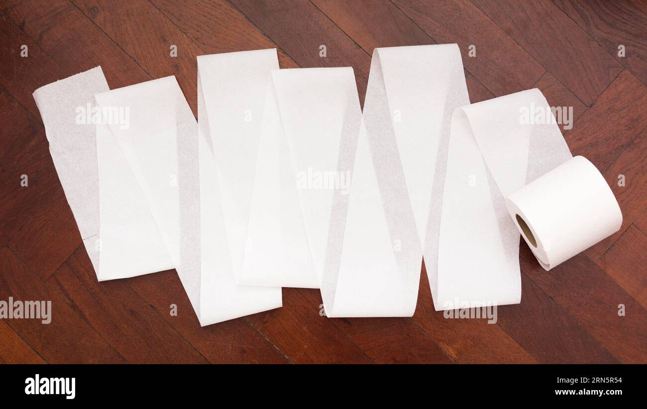 High angle toilet paper hi-res stock photography and images - Alamy