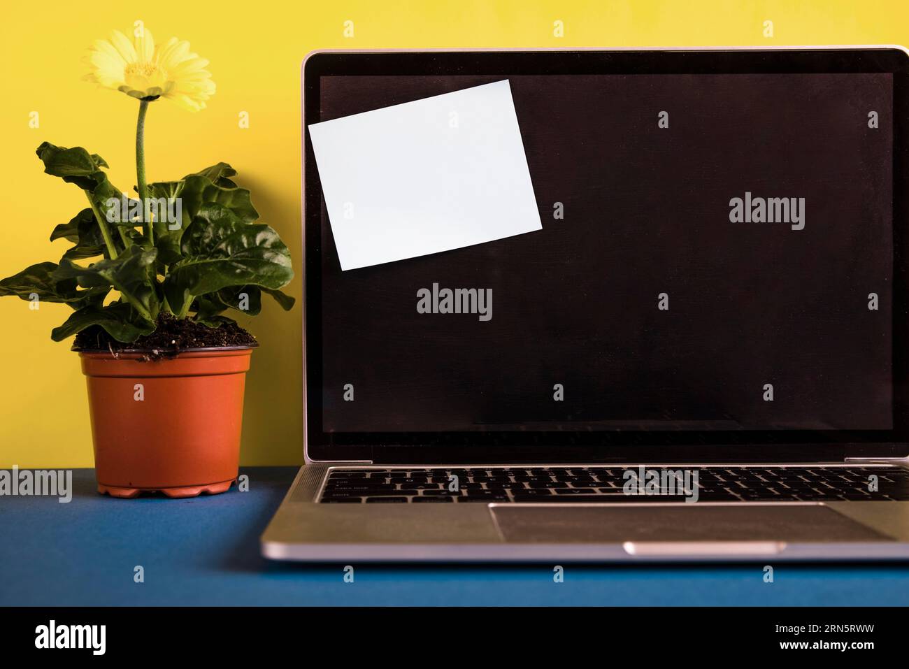 Laptop with post it note opened lid Stock Photo - Alamy