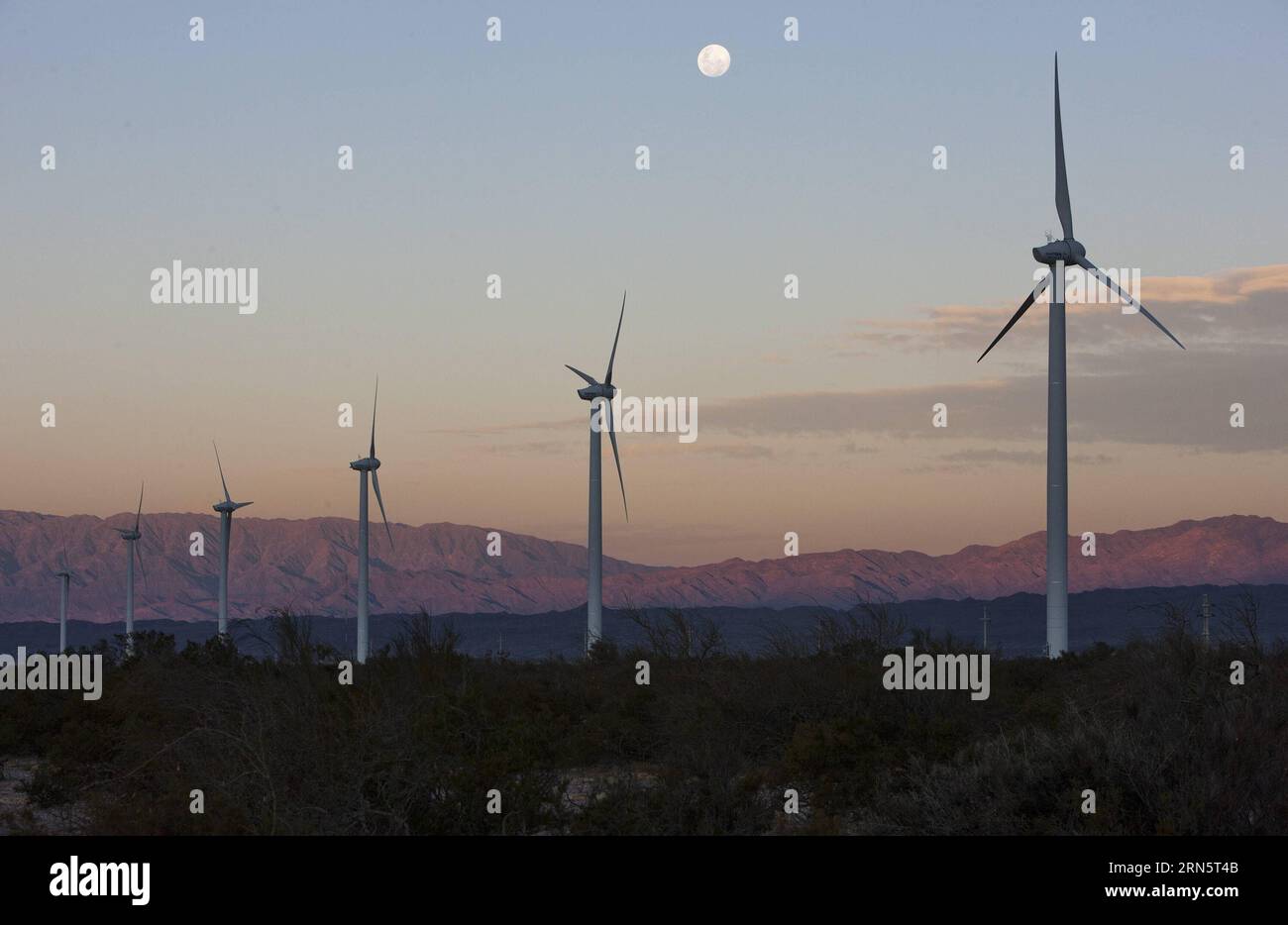 Matrix farm hi-res stock photography and images - Alamy