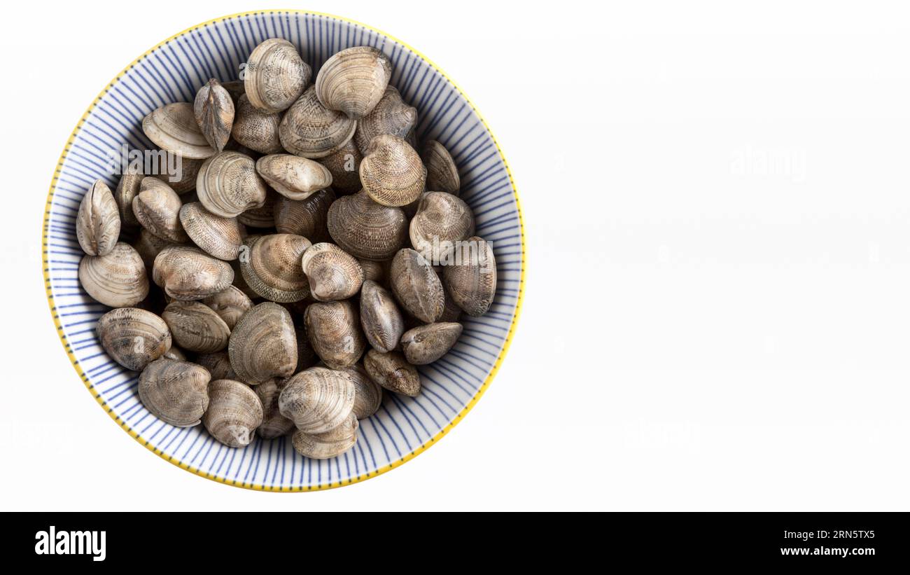 Top view plate with clams copy space Stock Photo - Alamy