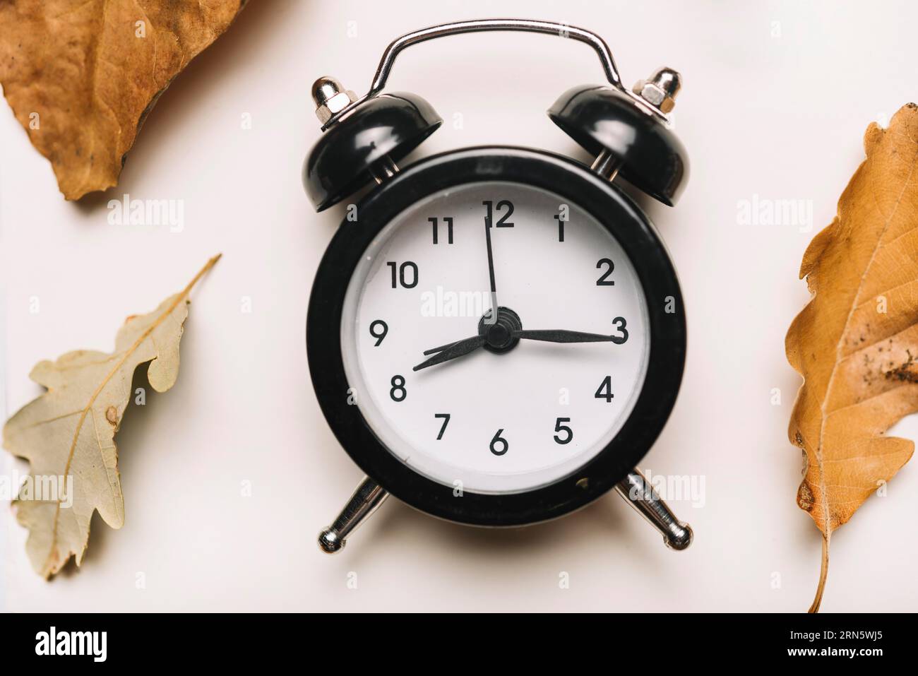 Autumn leaves near alarm clock Stock Photo - Alamy