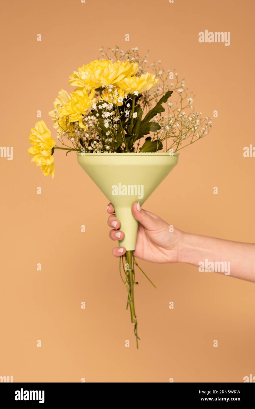 Close up woman hand with plastic funnel with flowers Stock Photo - Alamy