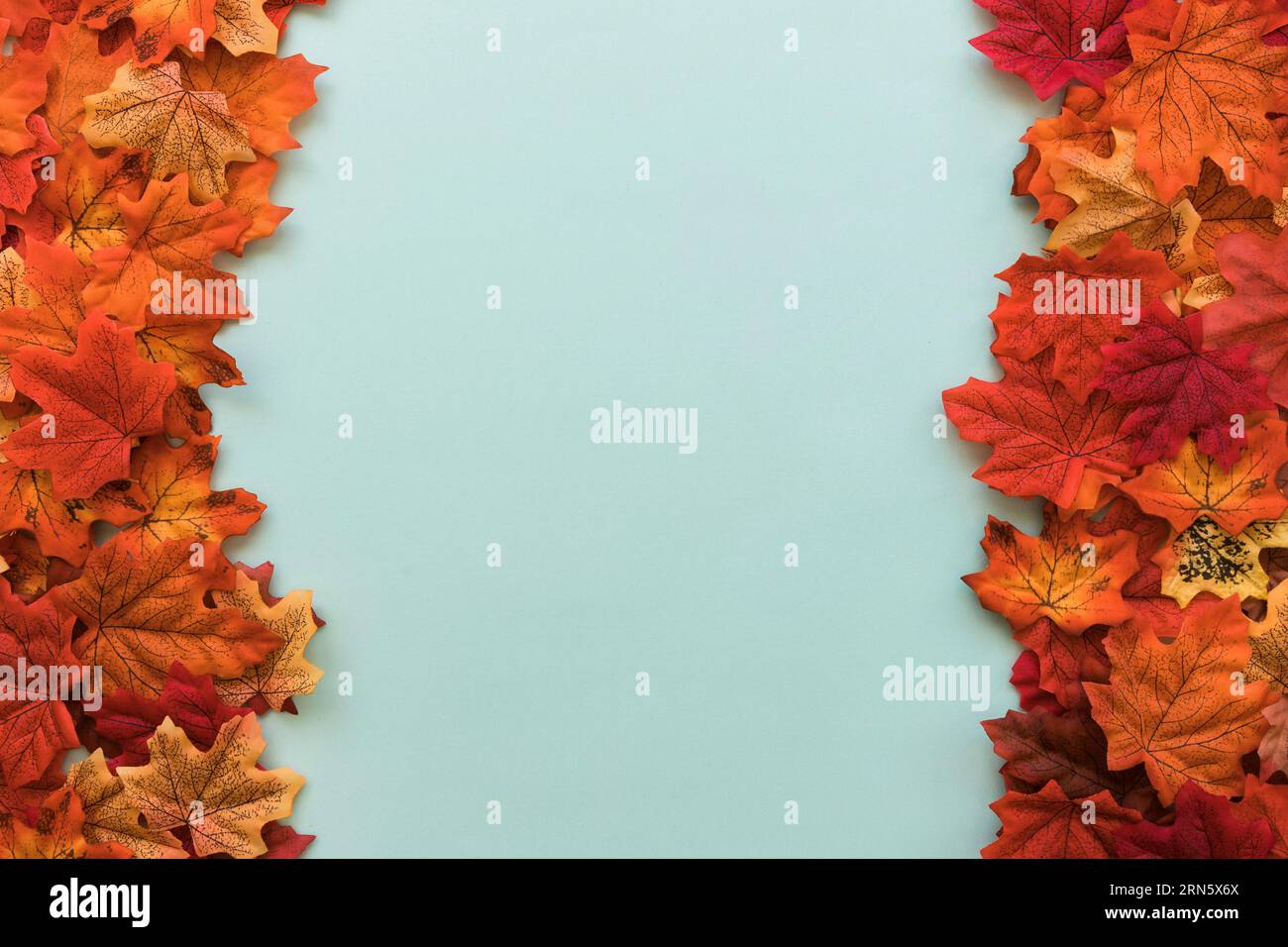 Double sided leaf hi-res stock photography and images - Alamy