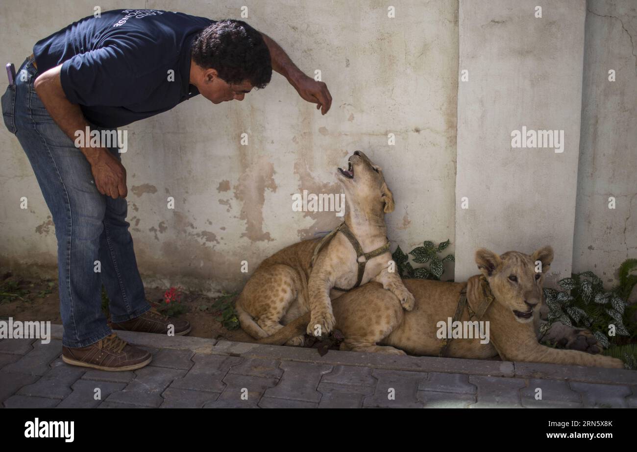 (150704) -- GAZA, July 4, 2015 -- Amir Khalil from the British Four ...