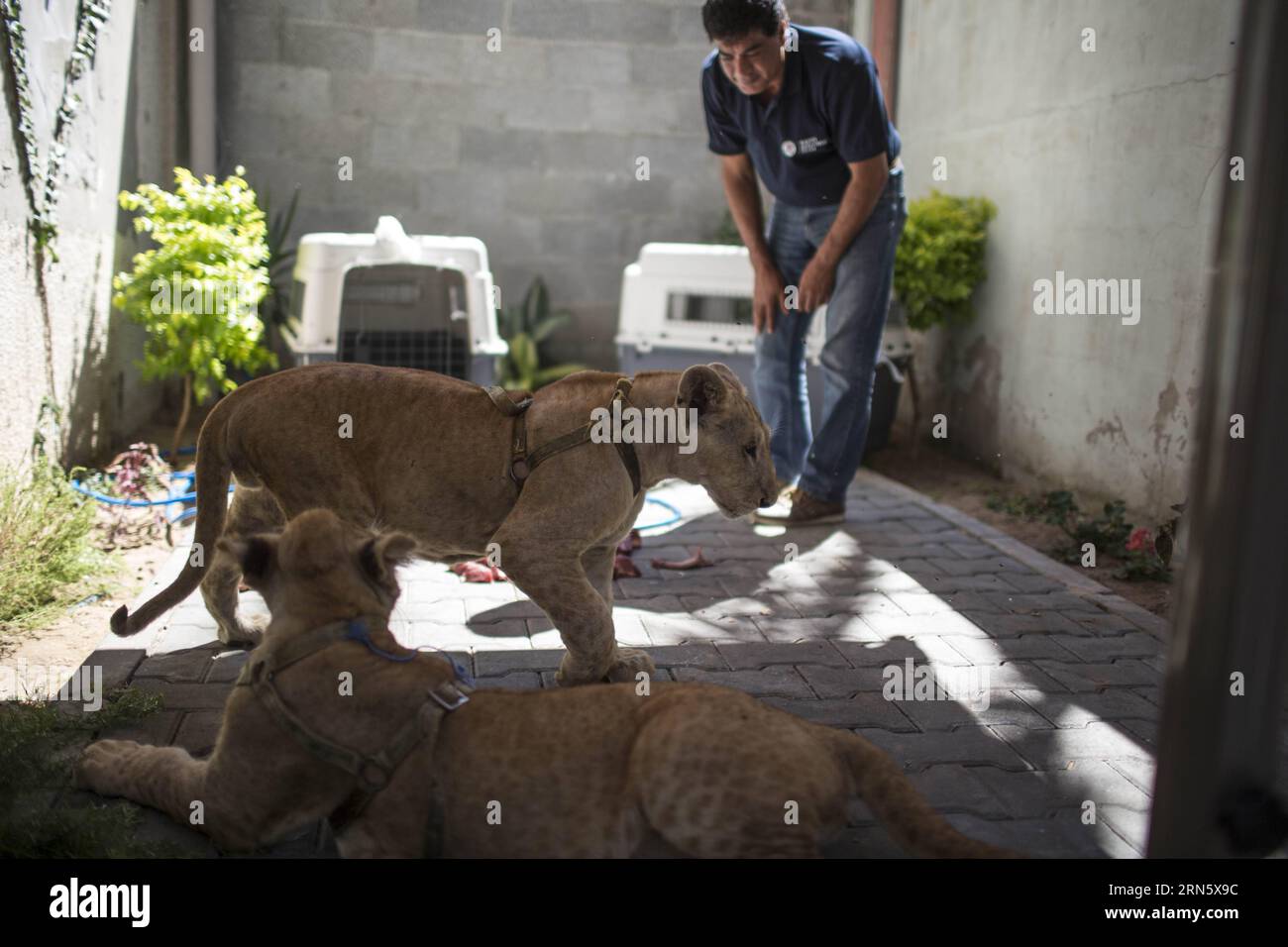 (150704) -- GAZA, July 4, 2015 -- Amir Khalil from the British Four ...