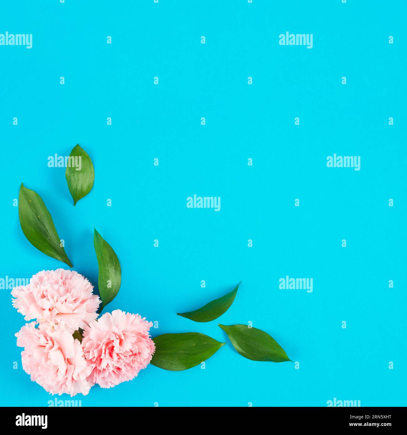 Luxurious flower heads hi-res stock photography and images - Alamy