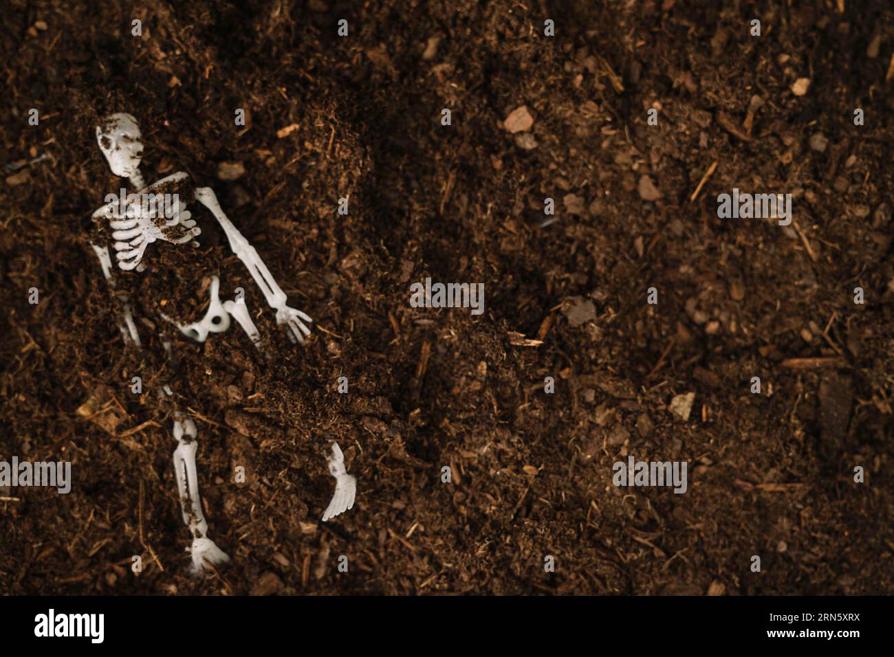 Halloween decoration with buried skeleton Stock Photo - Alamy