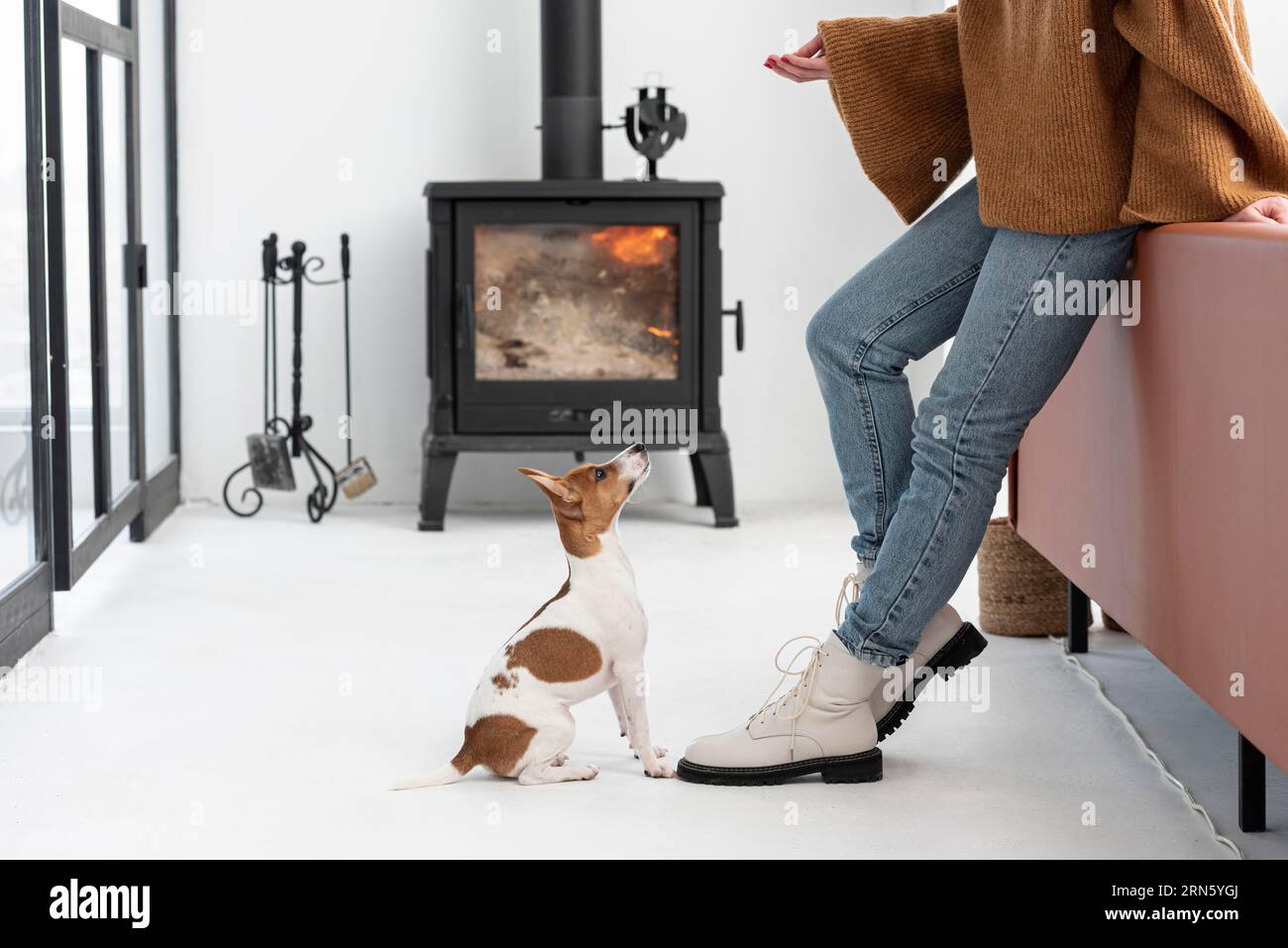 Pet owner view hi-res stock photography and images - Alamy