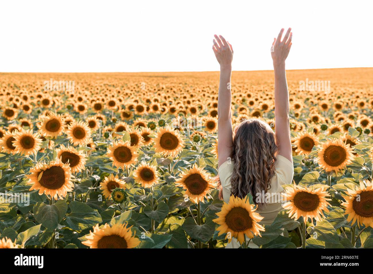 Back view woman posing nature Stock Photo - Alamy