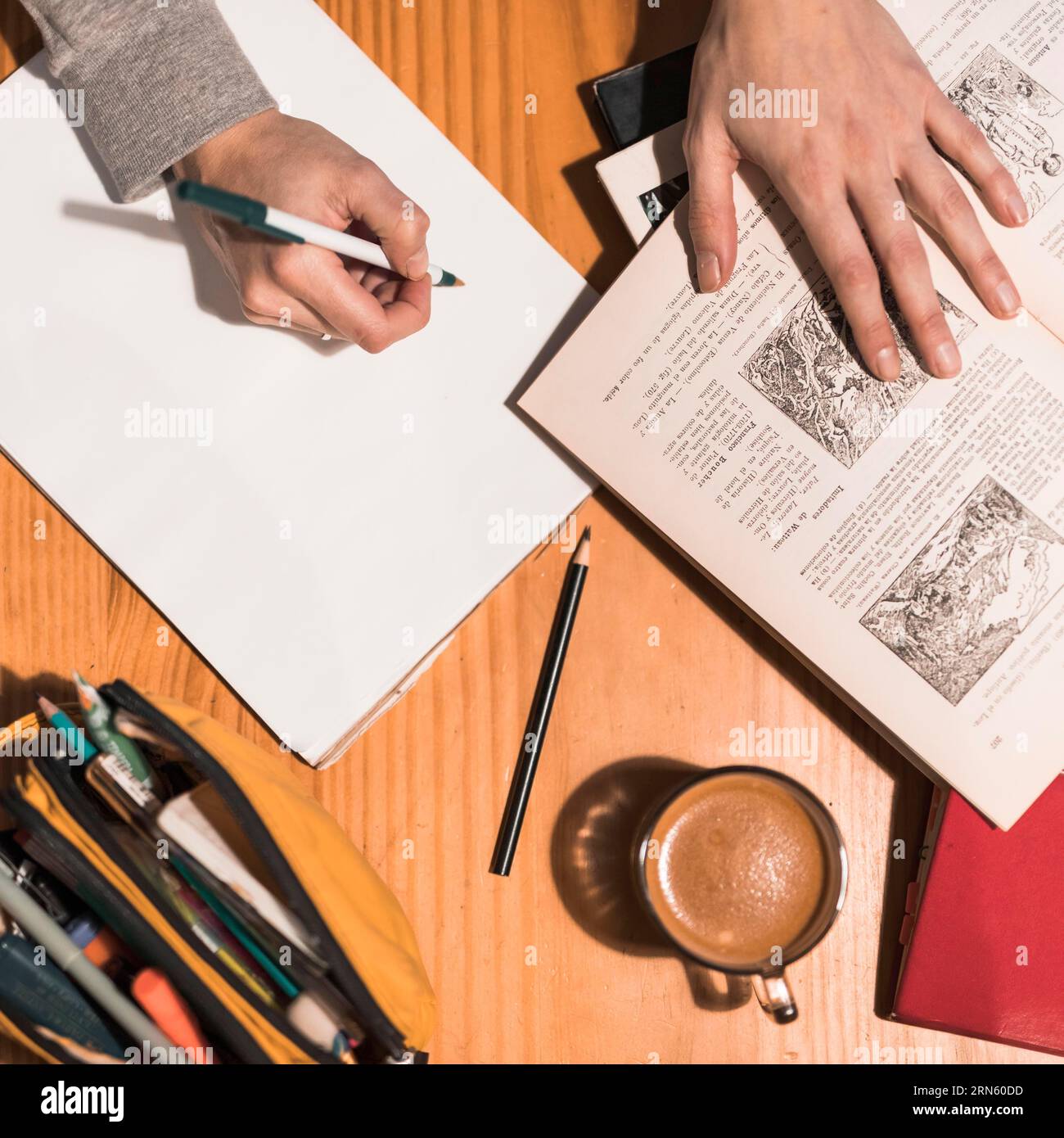 Hands booklet hi-res stock photography and images - Alamy