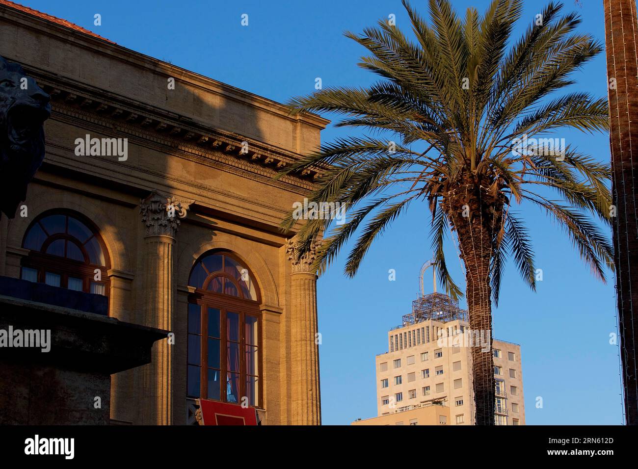 World famous tree house hi-res stock photography and images - Alamy