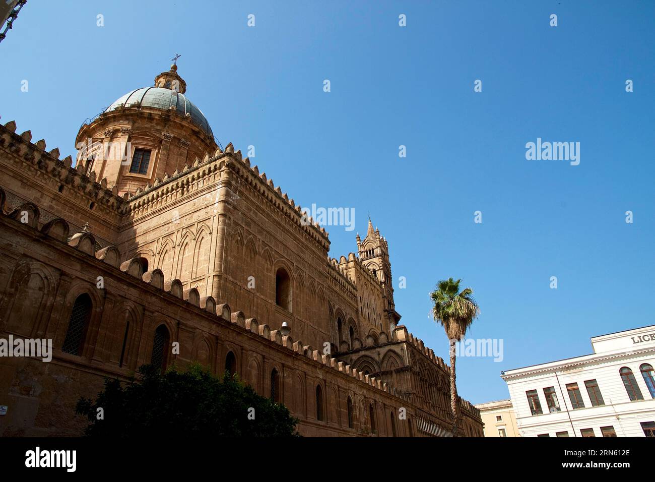 Exterior view, oblique from below, super wide angle, palm tree ...