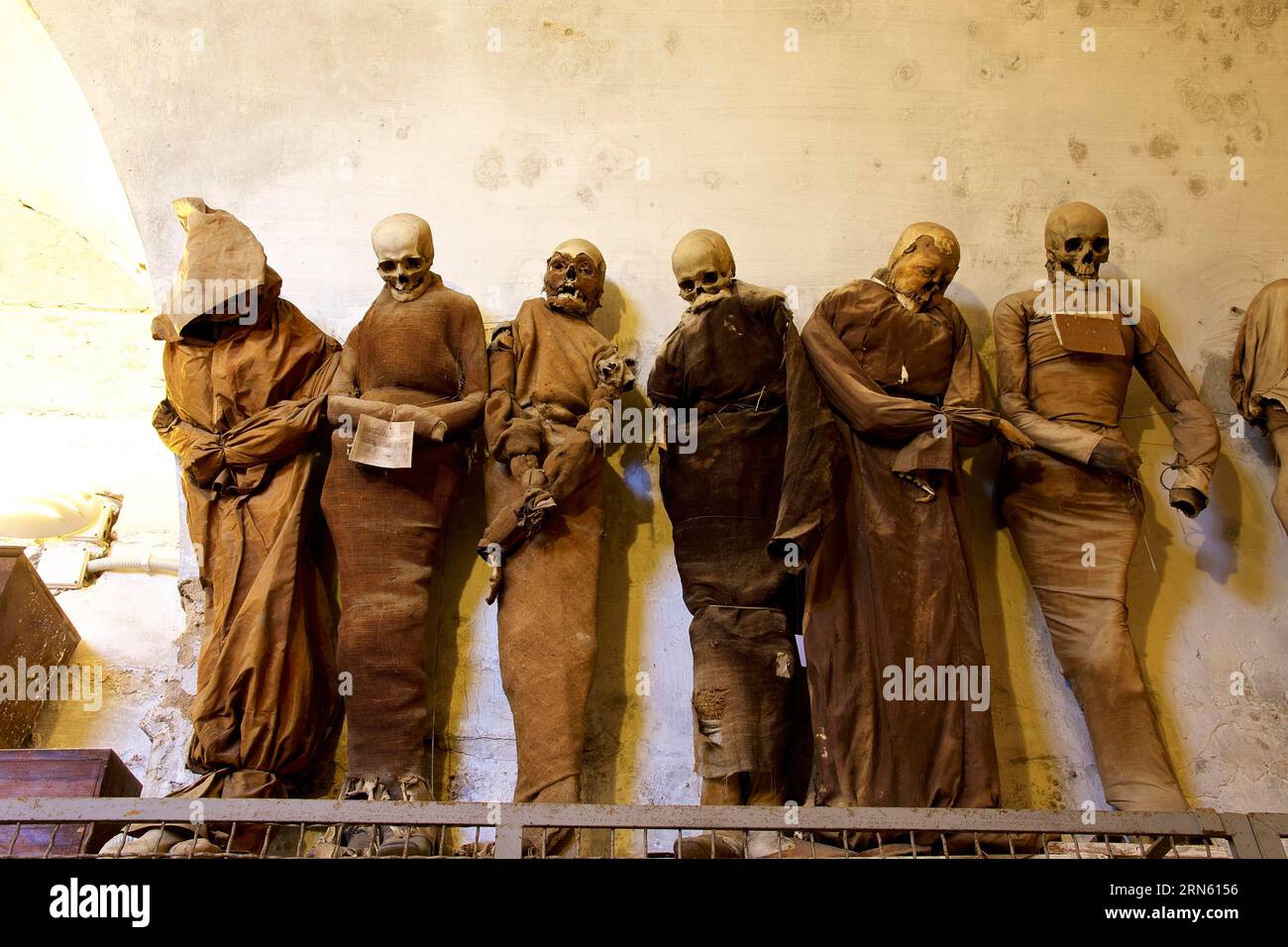 Six standing mummies side by side, Catacombe dei Cappuccini, Capuchin ...