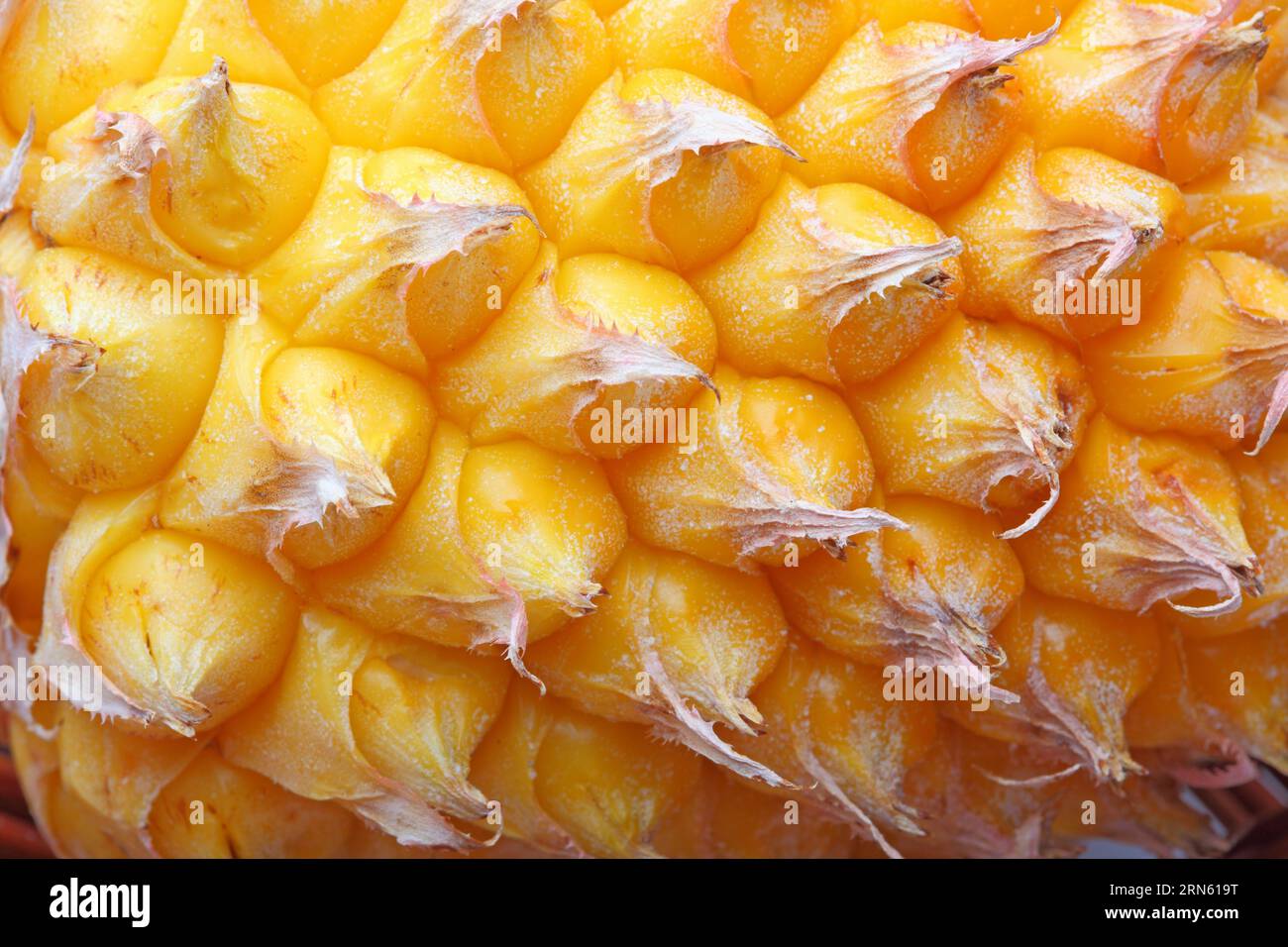 The closeup of pineapple texture Stock Photo - Alamy