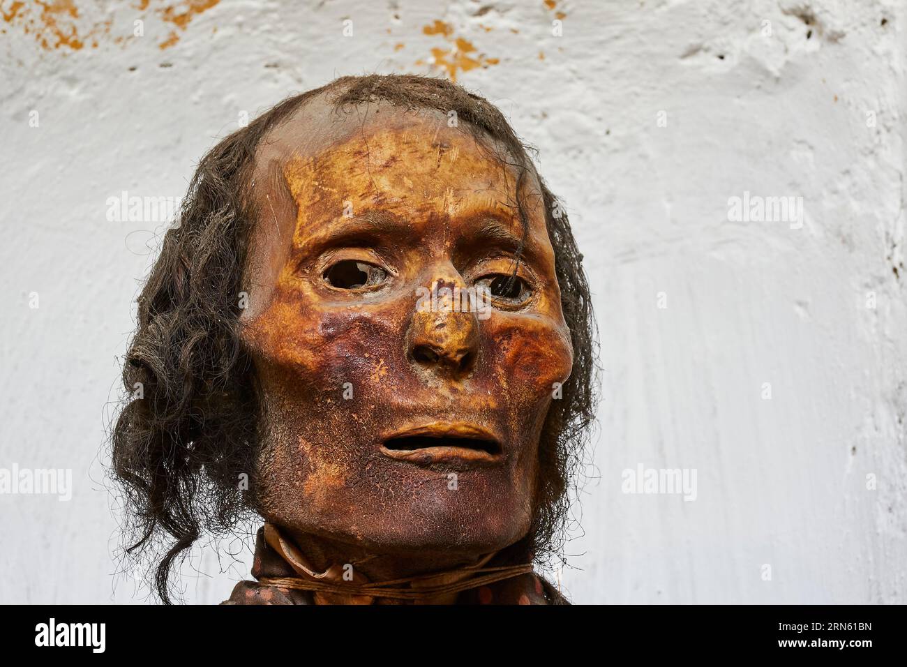 Very well preserved male skull, black hair, Catacombe dei Cappuccini ...