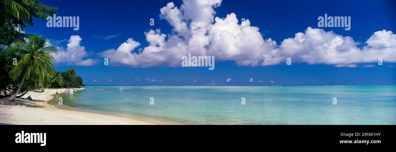View of beach and palm trees, Matira Beach, Tahiti, French Polynesia ...