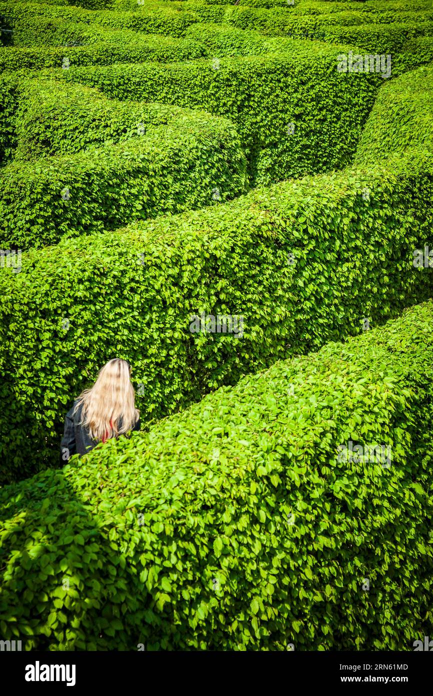 Labyrinth of hedges with three people, Aachen, Germany Stock Photo - Alamy
