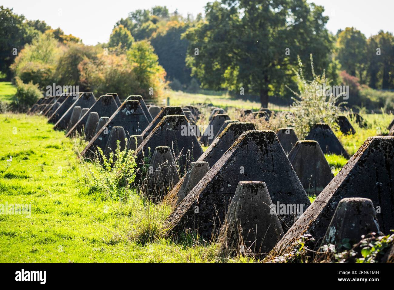 Westwall near Aachen, tank traps in a meadow, Germany Stock Photo - Alamy