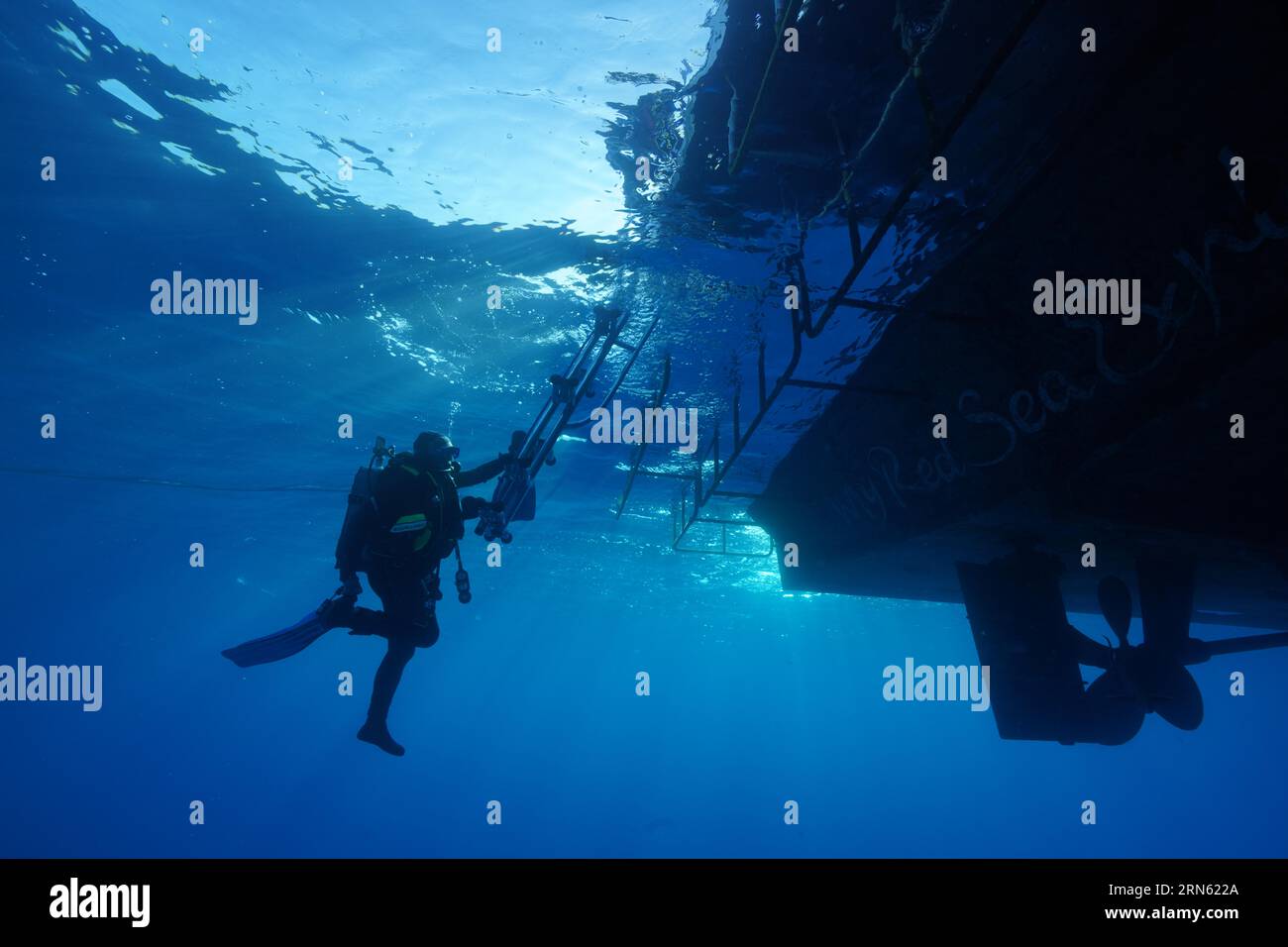Safari boat, dive boat, livaboard Red Sea Explorer from below, ladder ...