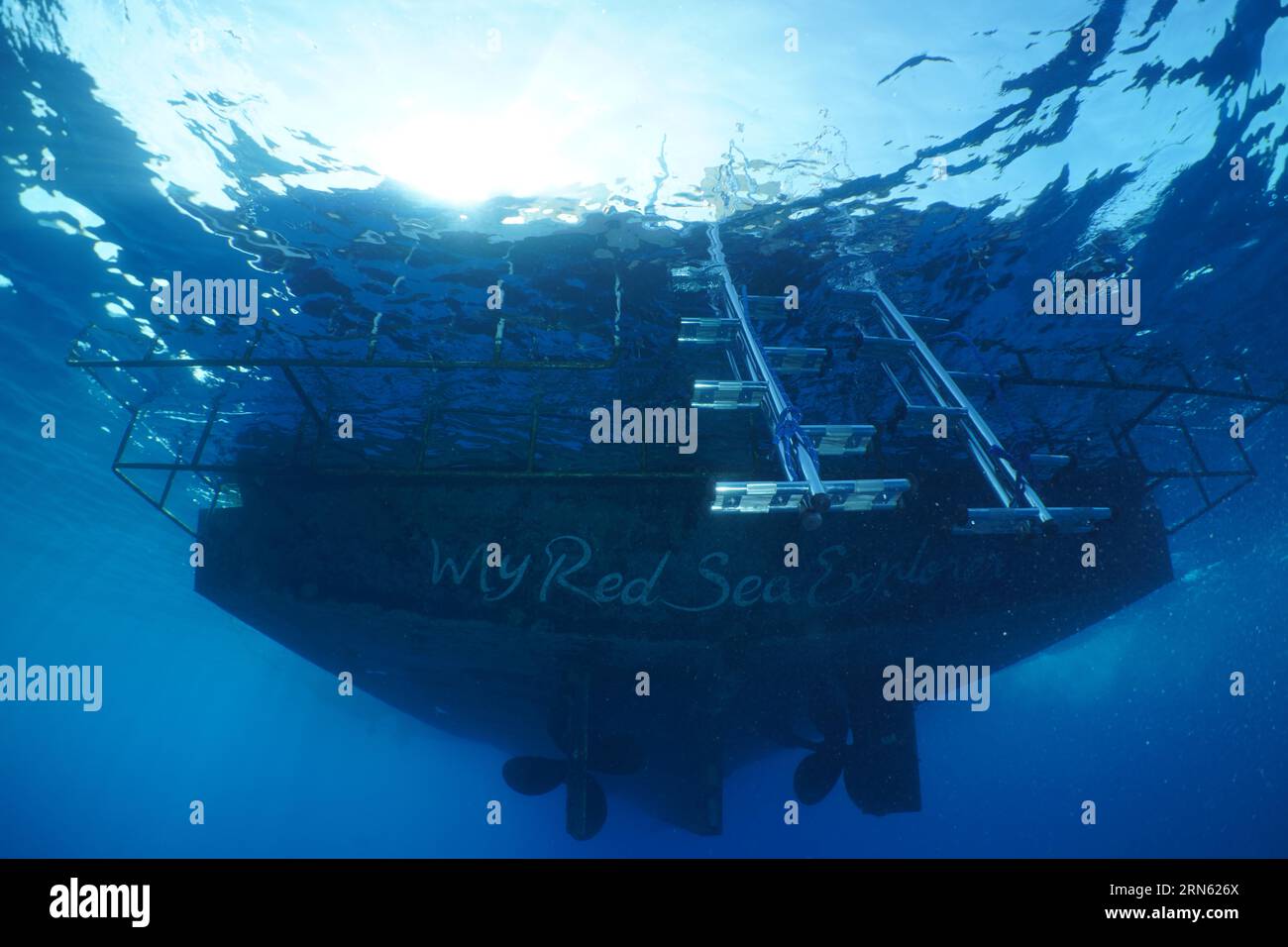 Safari boat, dive boat, livaboard Red Sea Explorer from below, ladder ...
