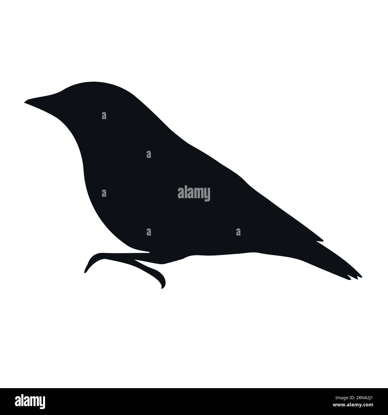 Vector hand drawn nuthatch bird silhouette isolated on white background ...