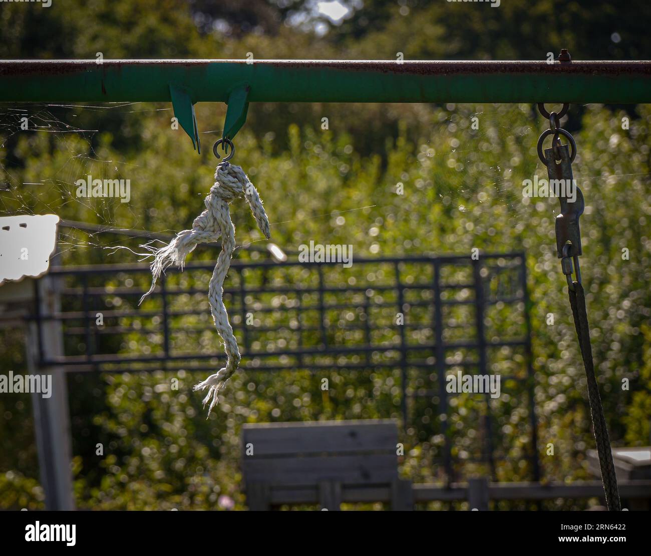 close-up of a broken rope Stock Photo - Alamy
