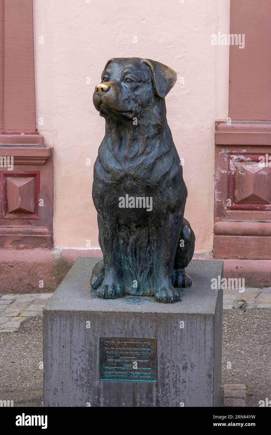 Rottweiler statue in front of the town museum, main street, Rottweil ...