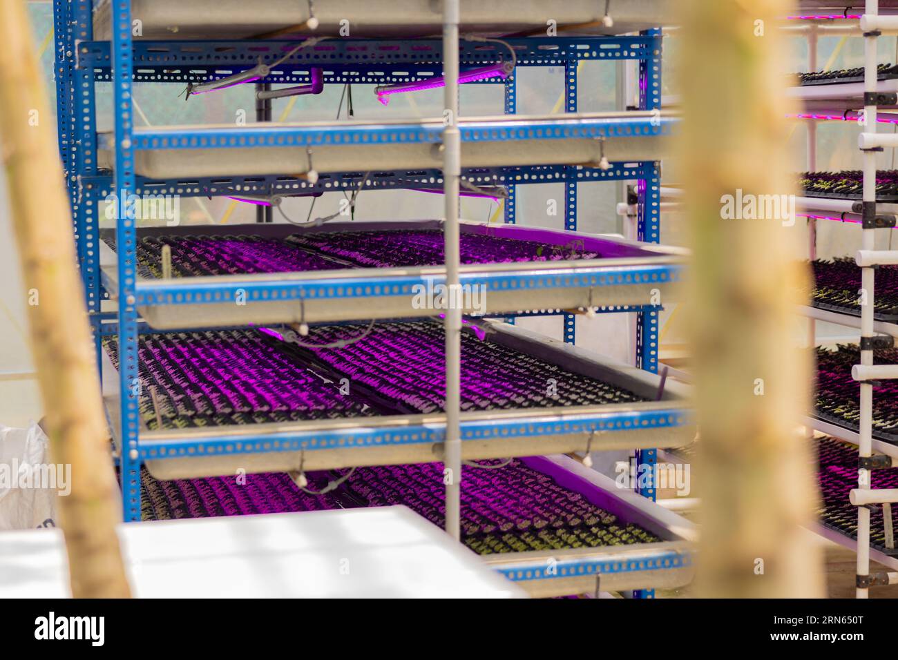 Operation plant hi-res stock photography and images - Alamy