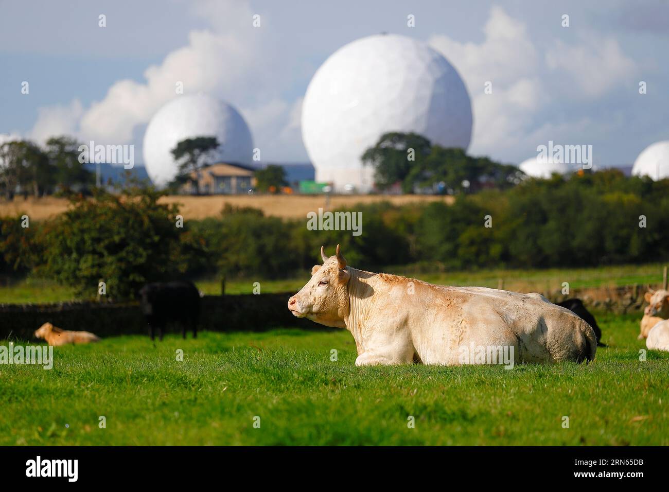 RAF Menwith Hill Listening Station near Harrogate, North Yorkshire ...