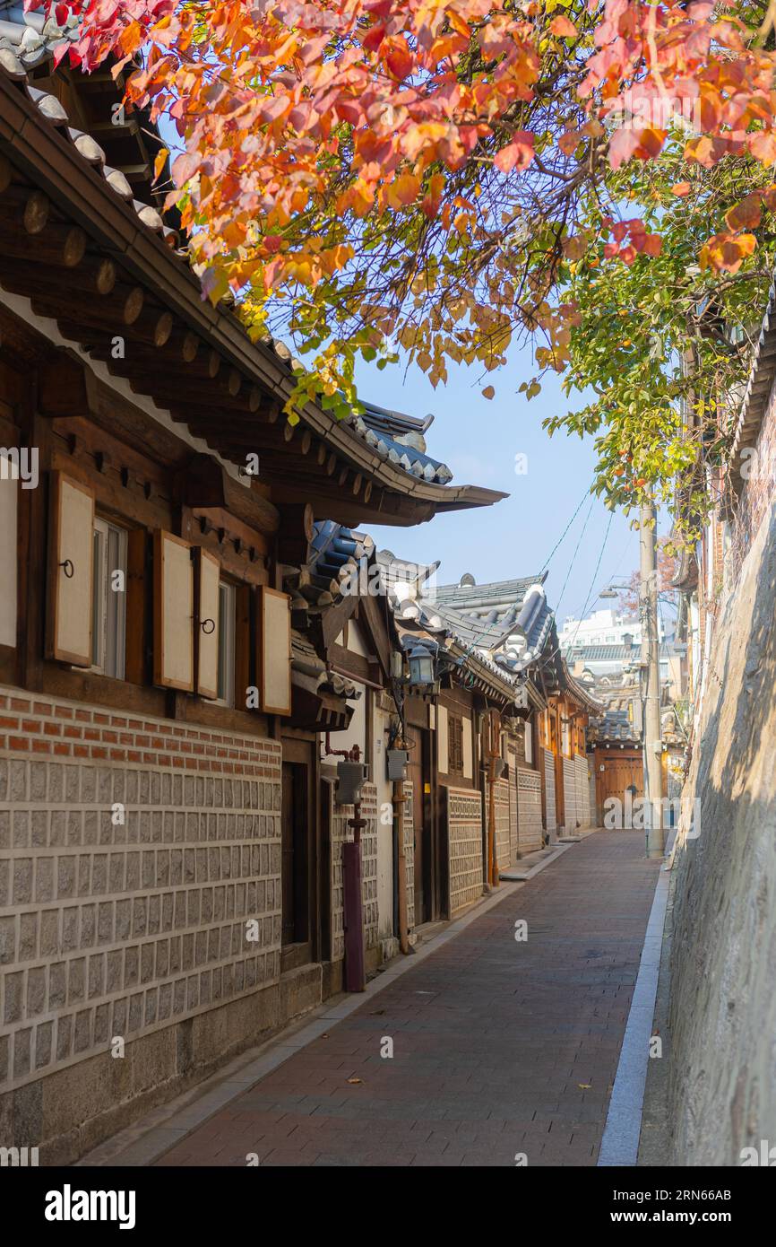 Old traditional houses, autumn leaves, Bukchon Hanok Village, Jongno-gu ...