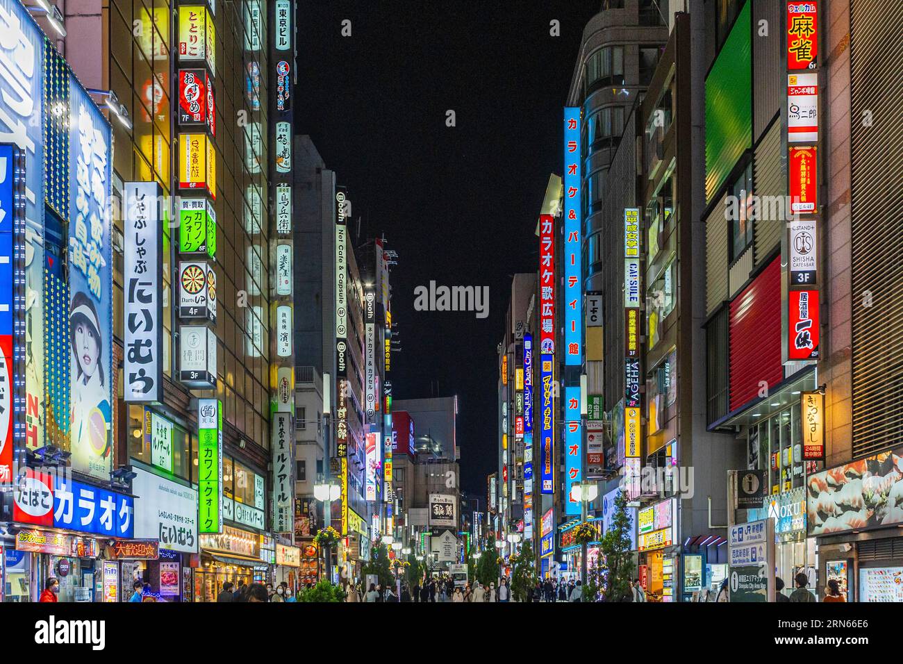 Bars, restaurants and shops, neon signs, night shot, Kabukicho ...